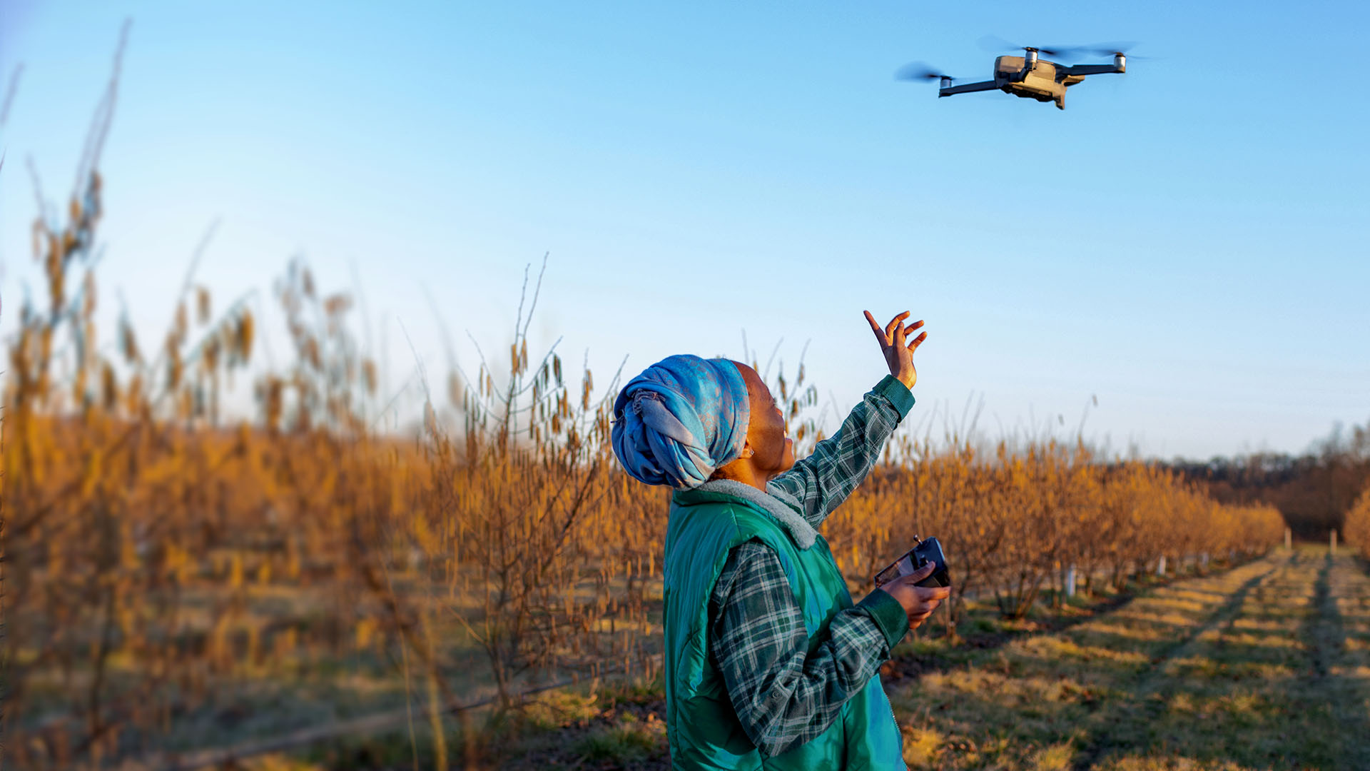 Digital technology can transform the wine industry | Nedbank